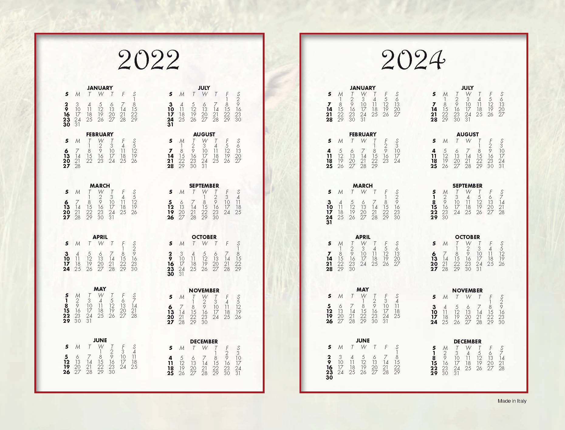 Moose Calendar | Eastern Illustrating