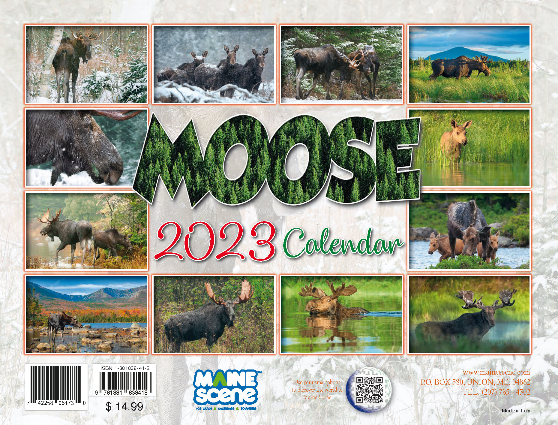 Moose Calendar | Eastern Illustrating